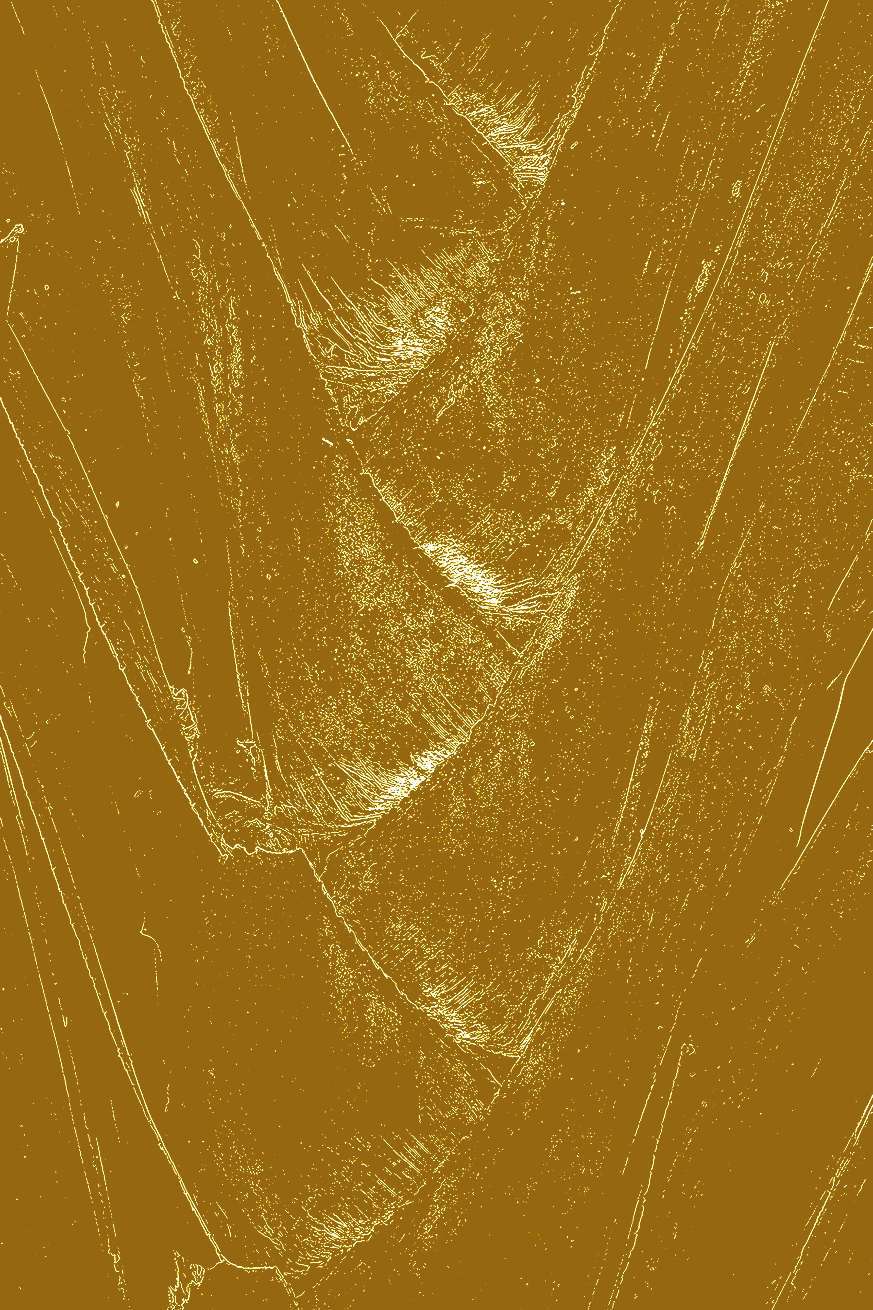 Yo dyiwo labadho | MANUELA WARSTAT